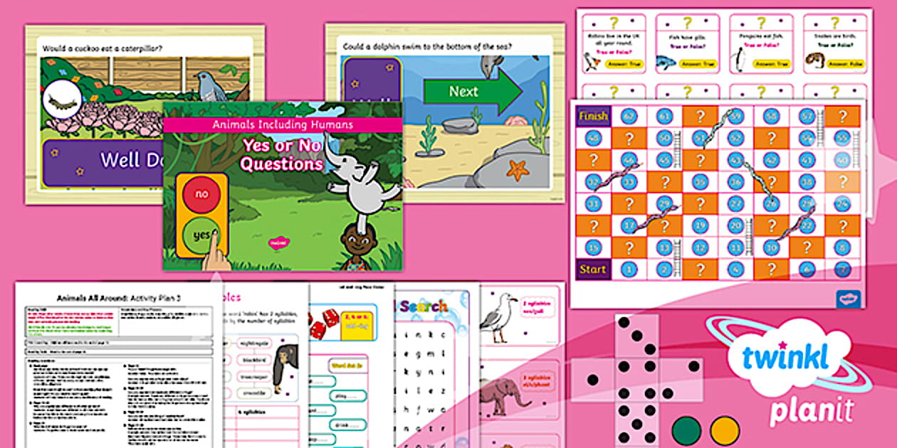 Reptiles And Amphibians For KS1 | Guided Reading | Y1