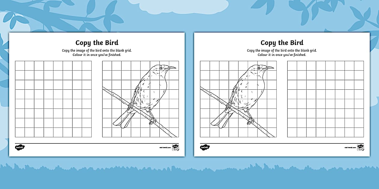 Copy the Bird Worksheet (teacher made) - Twinkl