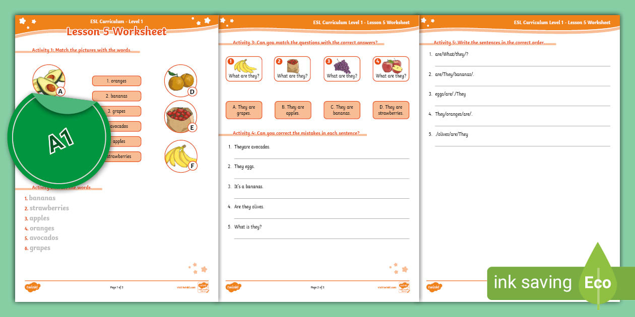 ESL Curriculum for Beginners: Lesson 5 Worksheet | Twinkl