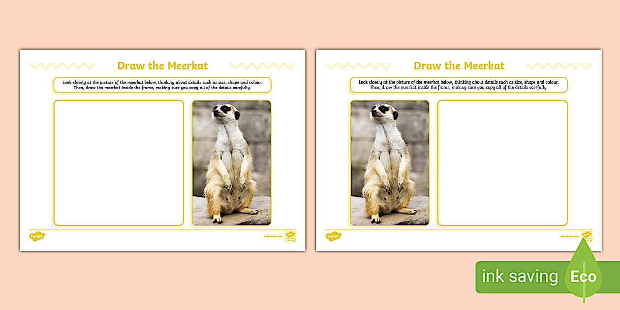 Draw the Meerkat Art Activity - Twinkl