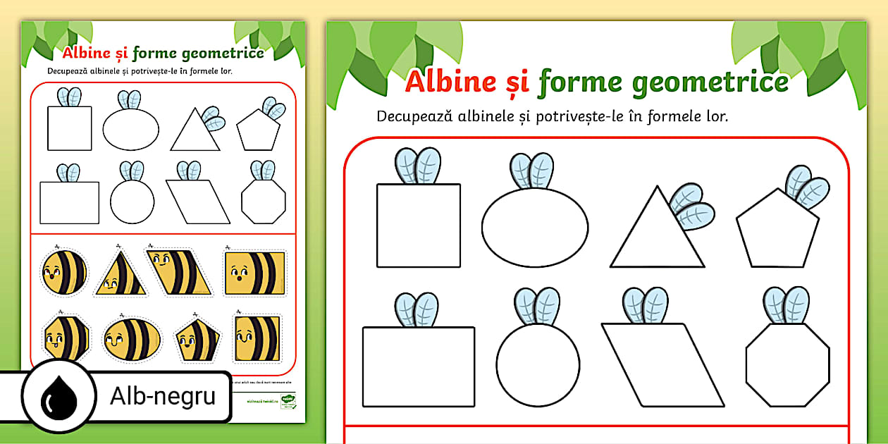 Albine – Activitate cu forme geometrice