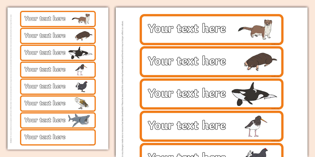 Scottish Wildlife Name Recognition Editable Tray Labels