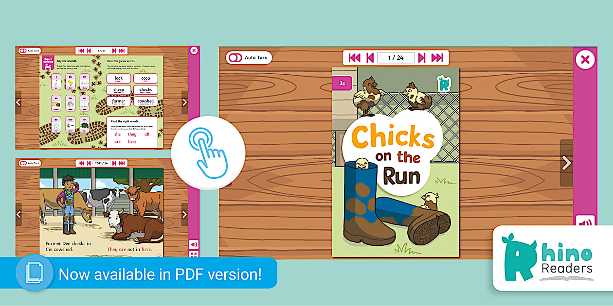 Level 3c Decodable Readers: Chicks on the Run (teacher made)