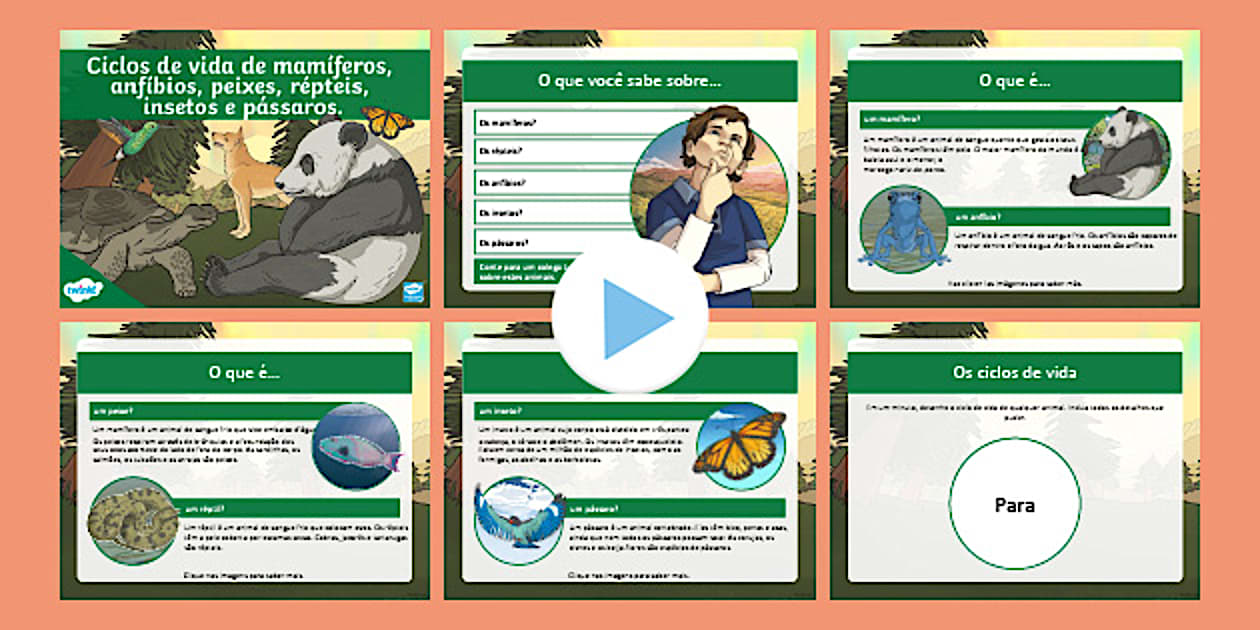 Ciclos de vida - PowerPoint (teacher made) - Twinkl