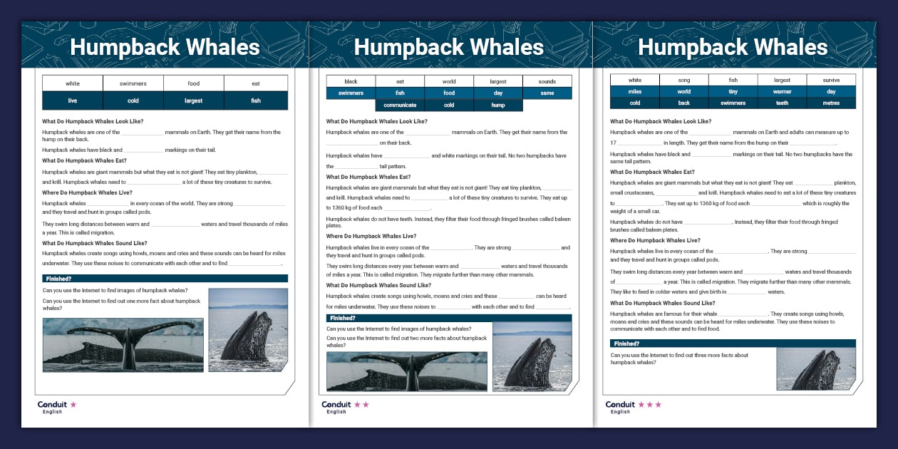 Reinforcing Reading: Humpback Whales Cloze Passages - Twinkl