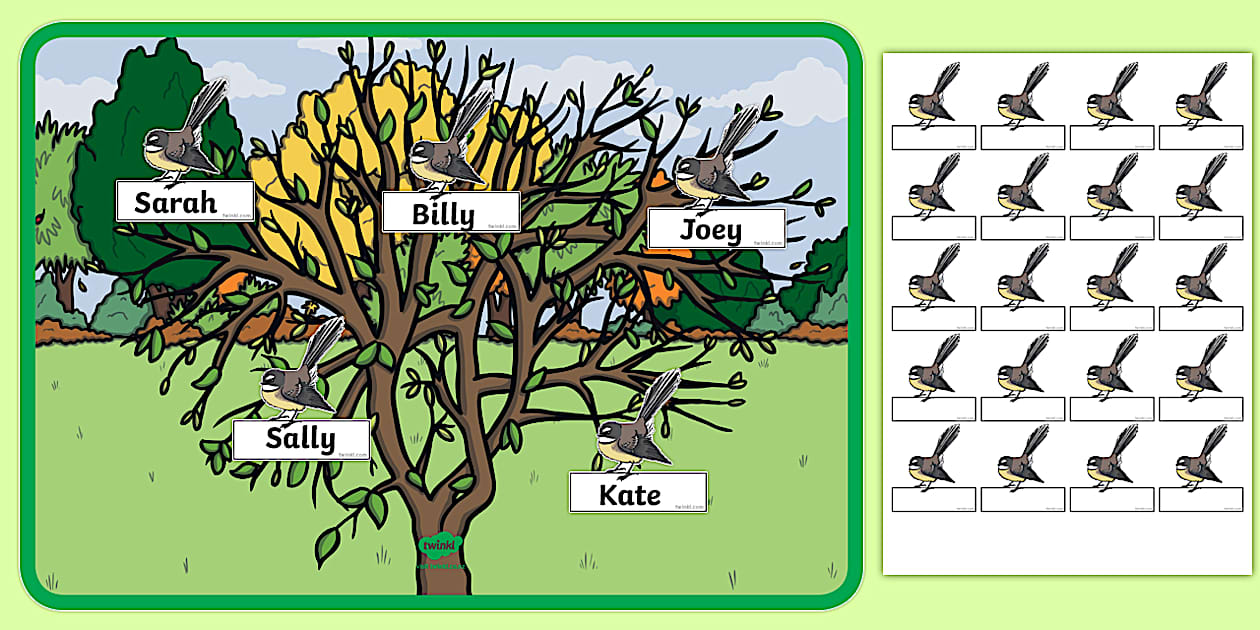 Fantail-Themed Self-Registration Display Pack - Twinkl