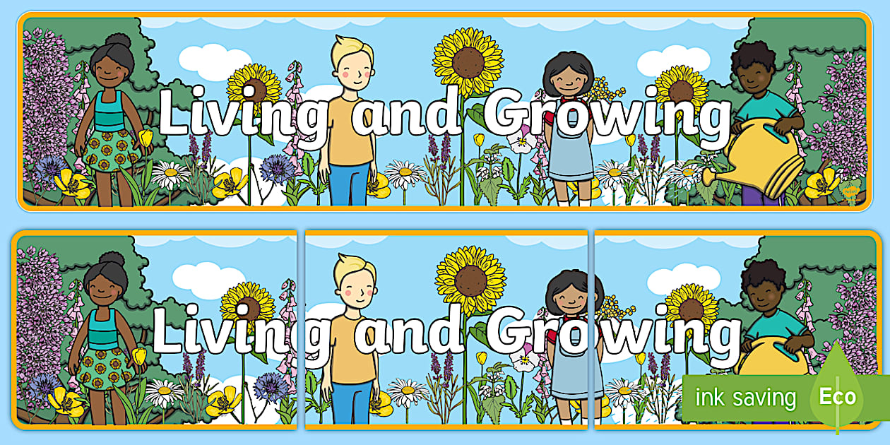 Cursive Living and Growing Display Banner - Twinkl