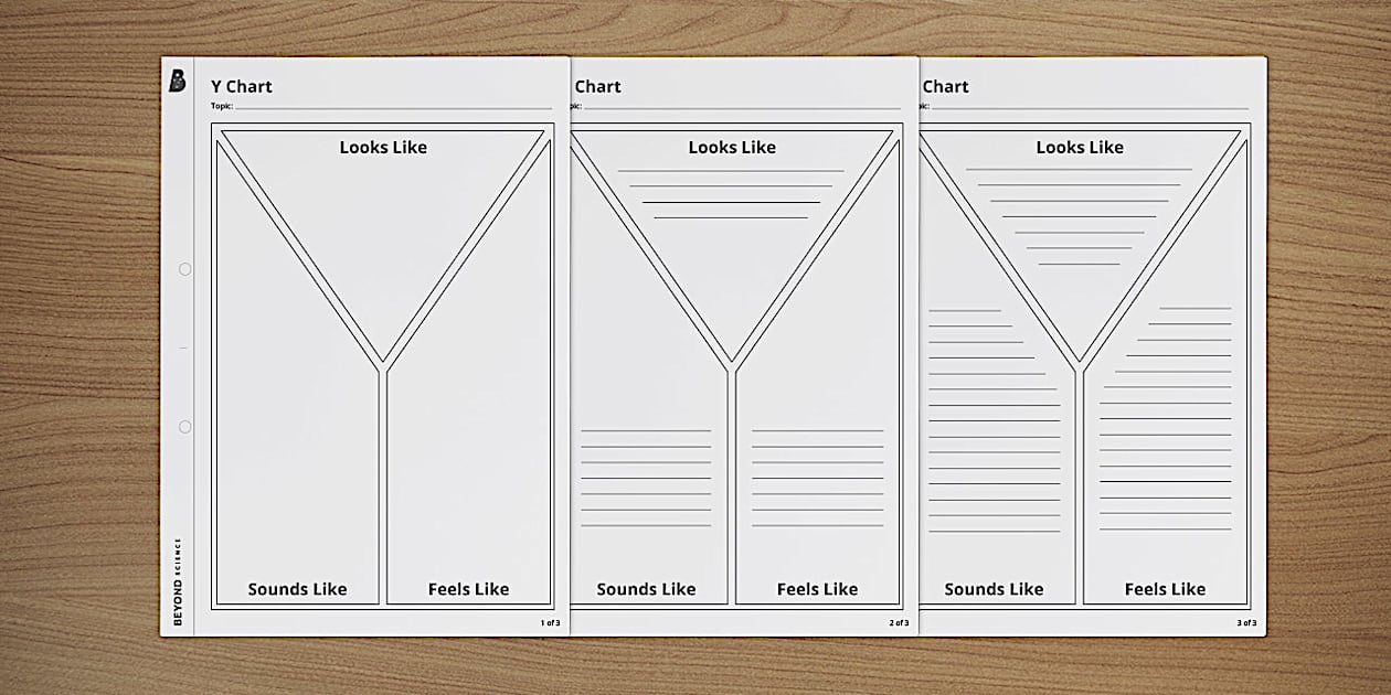 Y Chart Template (teacher made) - Twinkl