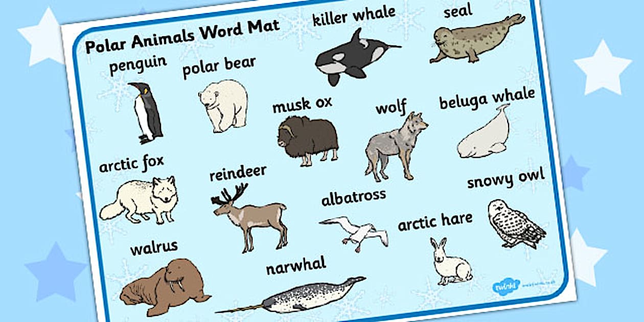 Polar Animals Vocabulary Mat - ESL North and South Pole Resources
