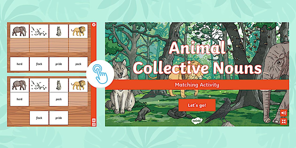 Animal Collective Nouns Interactive Matching Activity