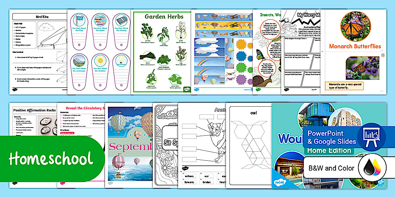 Homeschool Packets | Homeschool Resources | Twinkl USA
