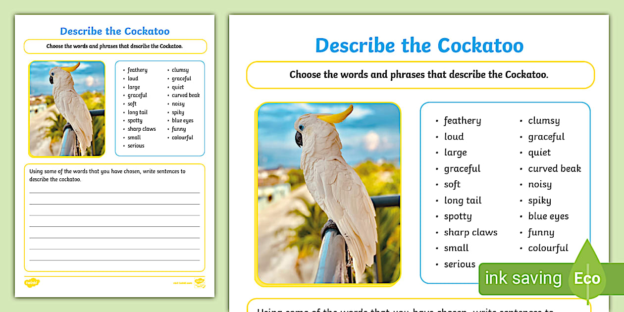 Describe the Cockatoo Writing Activity, Cockatoo - Twinkl