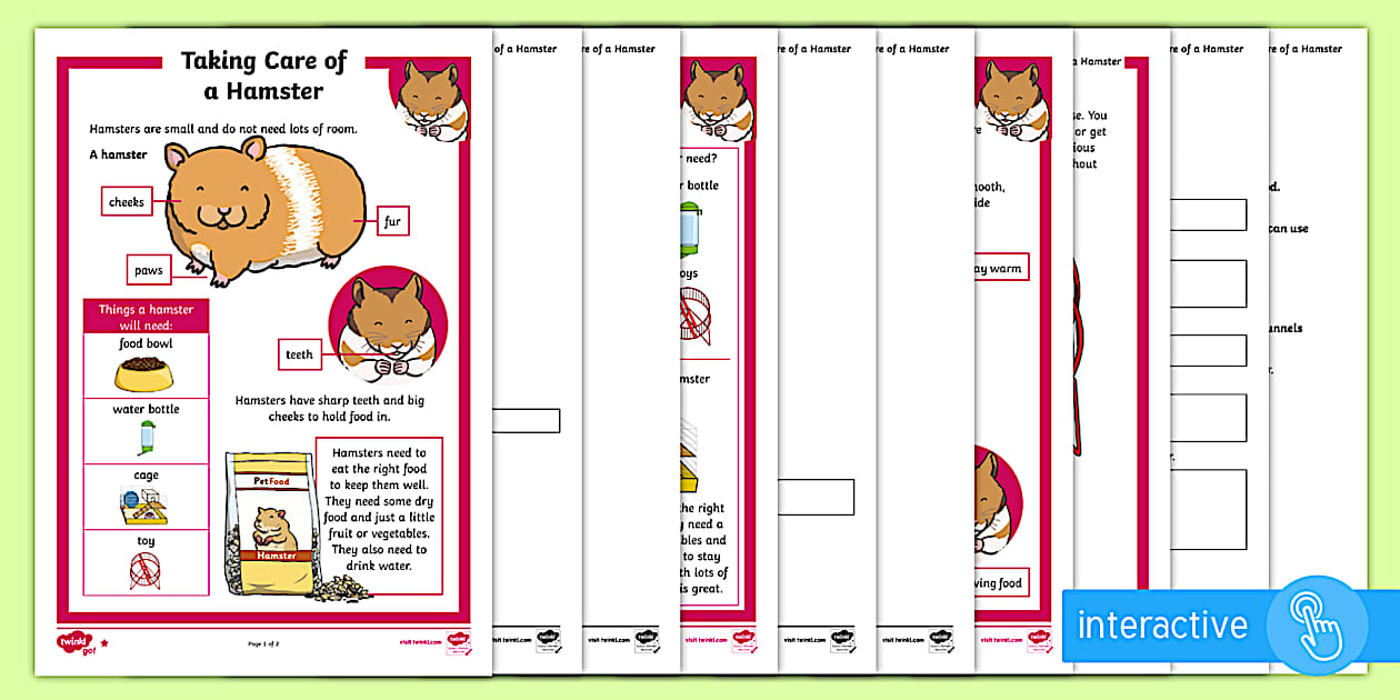 Middle Ability KS1 How to Look After a Hamster Differentiated ...