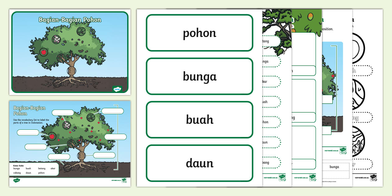 Parts of a Tree Resource Pack - Indonesian (teacher made)