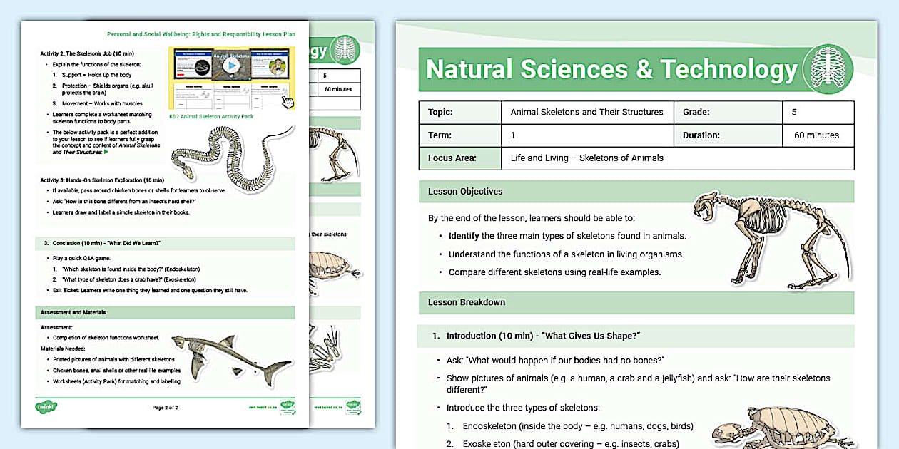 Grade 5 NS and Tech Term 1 Animal Skeletons Lesson Plan