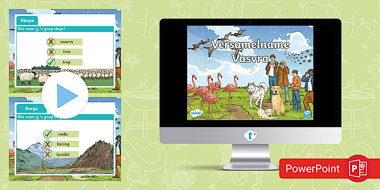 Versamelname Graad 4 PowerPoint - Afrikaans (Teacher-Made)