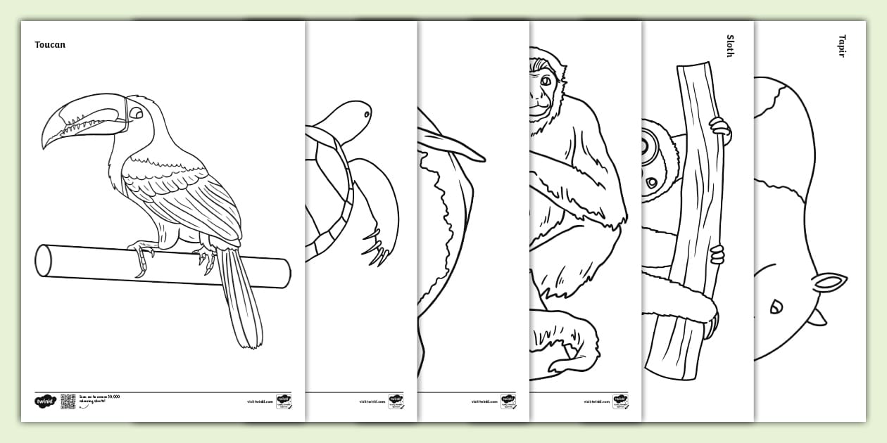 How can I teach children about animals that live in the Amazon Rainforest?