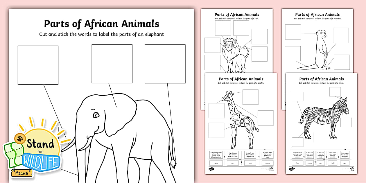 Savannah Animals | Labelling Activity | A Twinkl Resource
