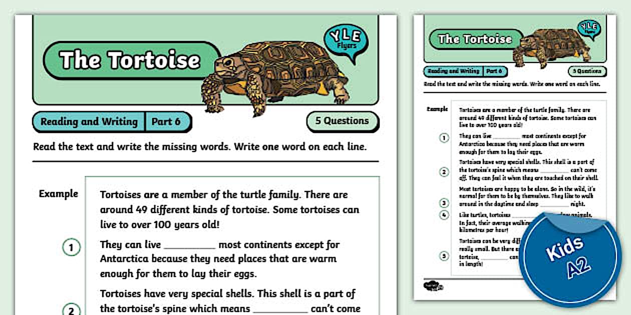YLE Flyers Reading and Writing Part 6 - The Tortoise