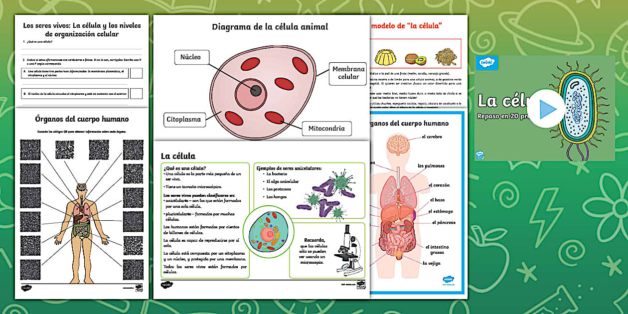 Pack de Ciencias de la Naturaleza: Estructura de los seres vivos
