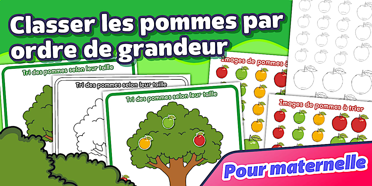 Activité de tri des pommes par ordre de grandeur