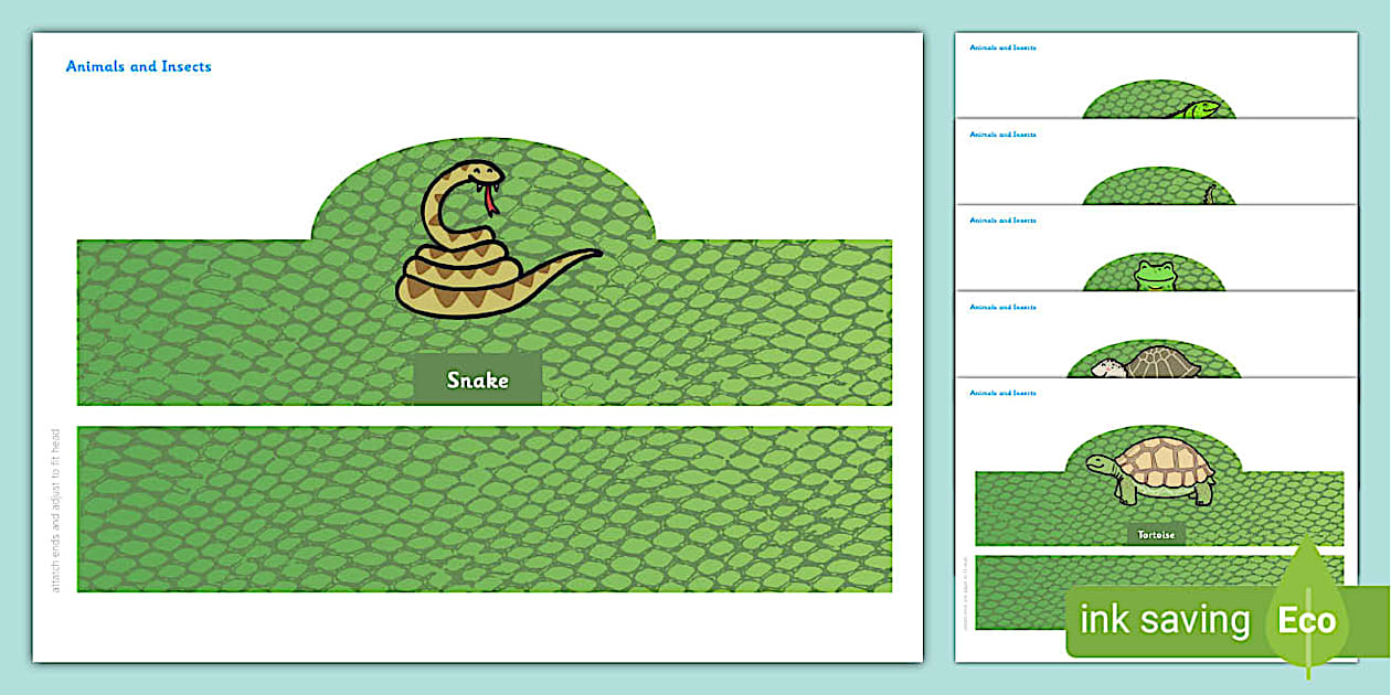 Animals and Insects Role Play Headbands (teacher made)