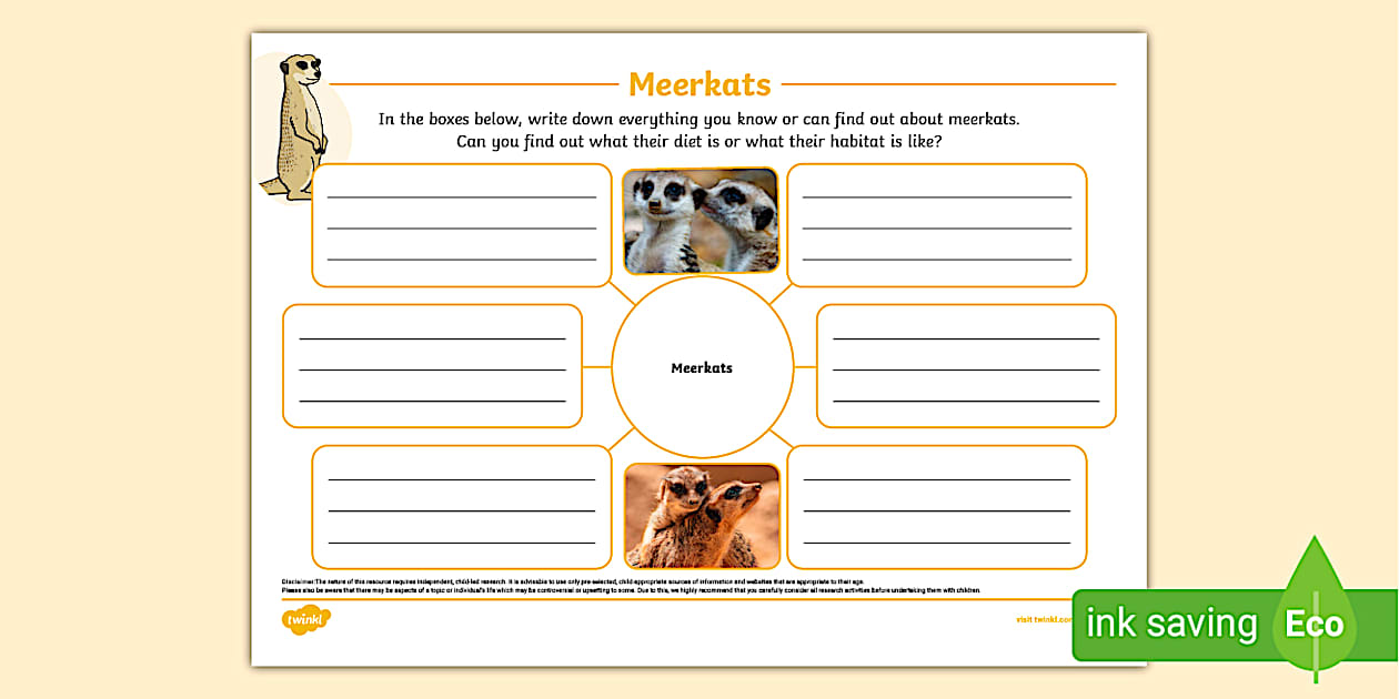 Meerkats Mind Map (teacher made) - Twinkl