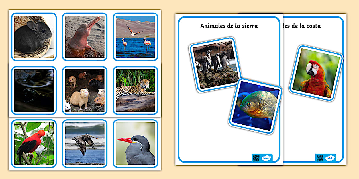 Actividad: clasificar animales de la costa, sierra y selva
