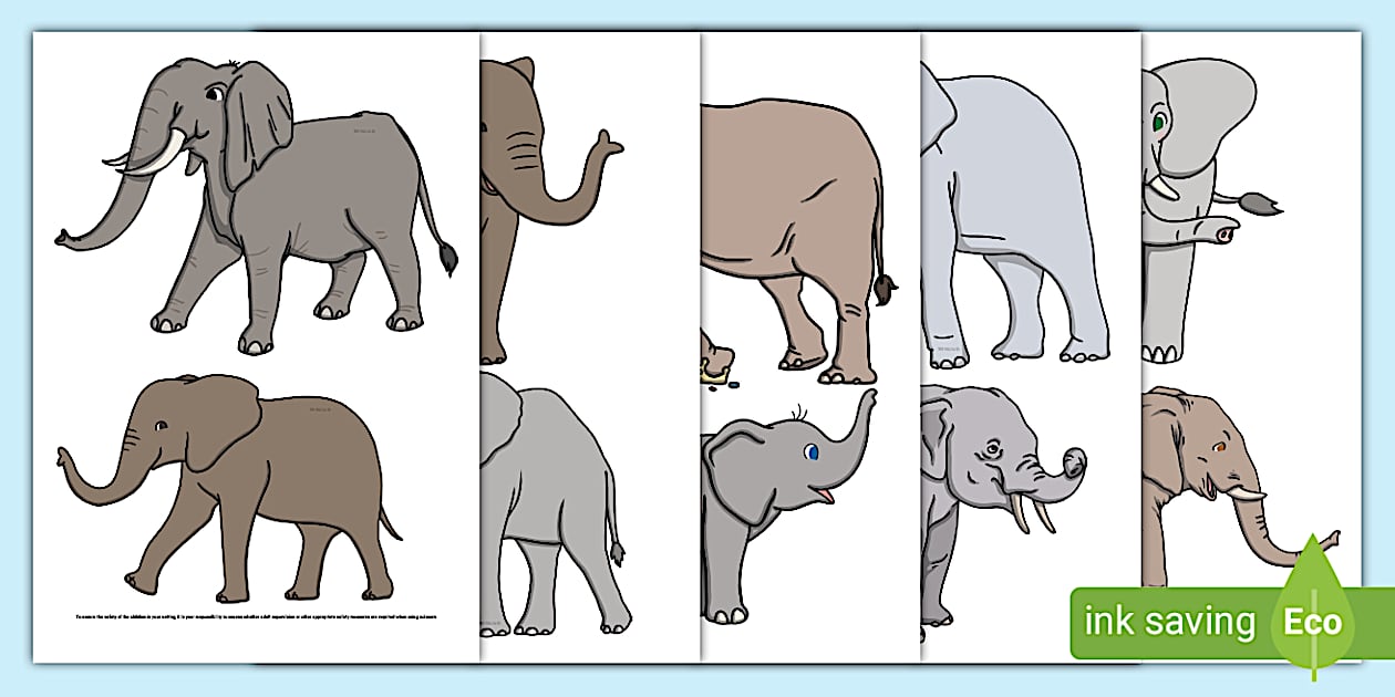 Elephant Cut-Outs (professor feito) - Twinkl