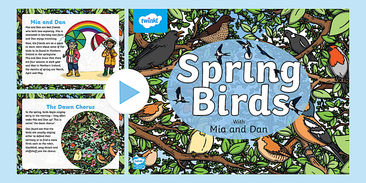 Spring Birds With Mia and Dan PowerPoint (teacher made)