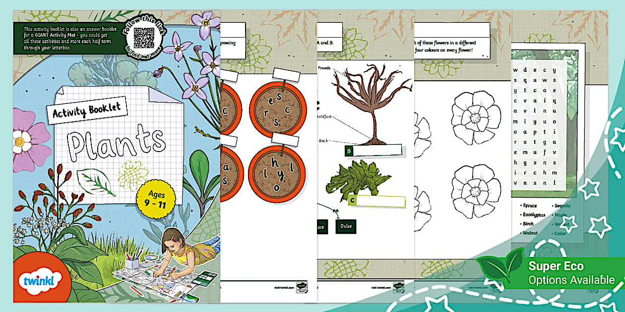 Plants Activity Booklet 9 to 11 years (teacher made)