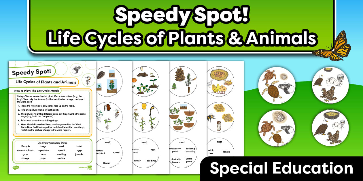 Life Cycles of Plants and Animals for Special Education