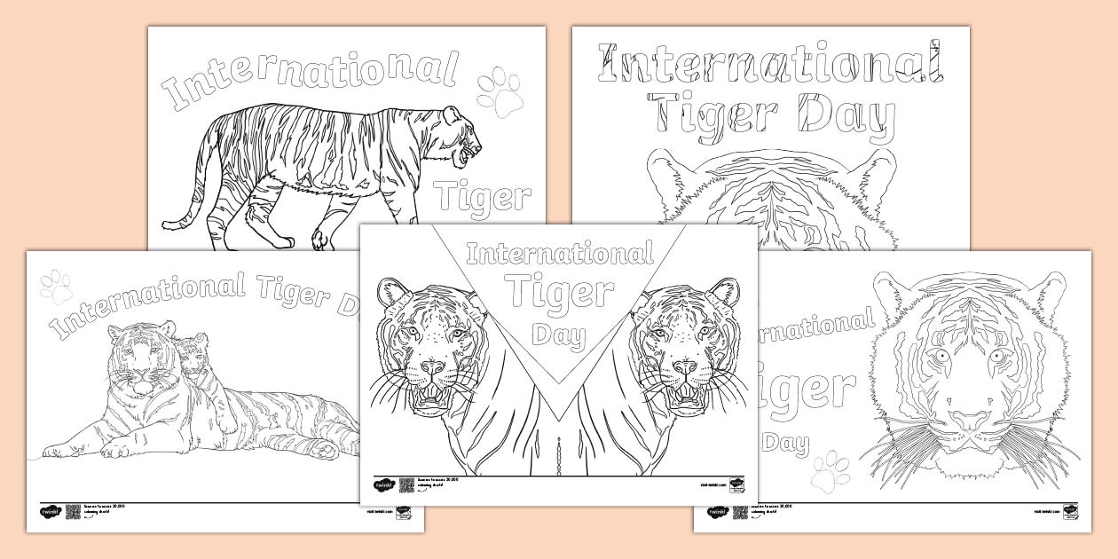KS2 International Tiger Day Colouring Sheets - Twinkl