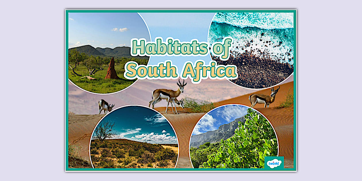 Habitats of South Africa Photo Display Poster - Twinkl