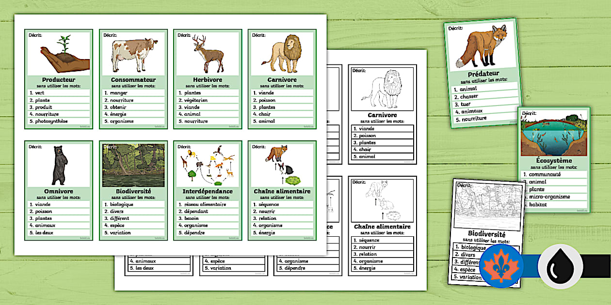 Relationships in an Ecosystem Can You Guess? Cards French