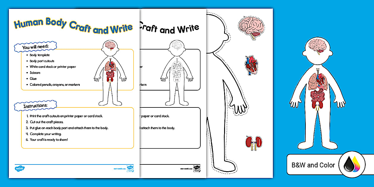 Human Body Craft and Write (teacher made) - Twinkl