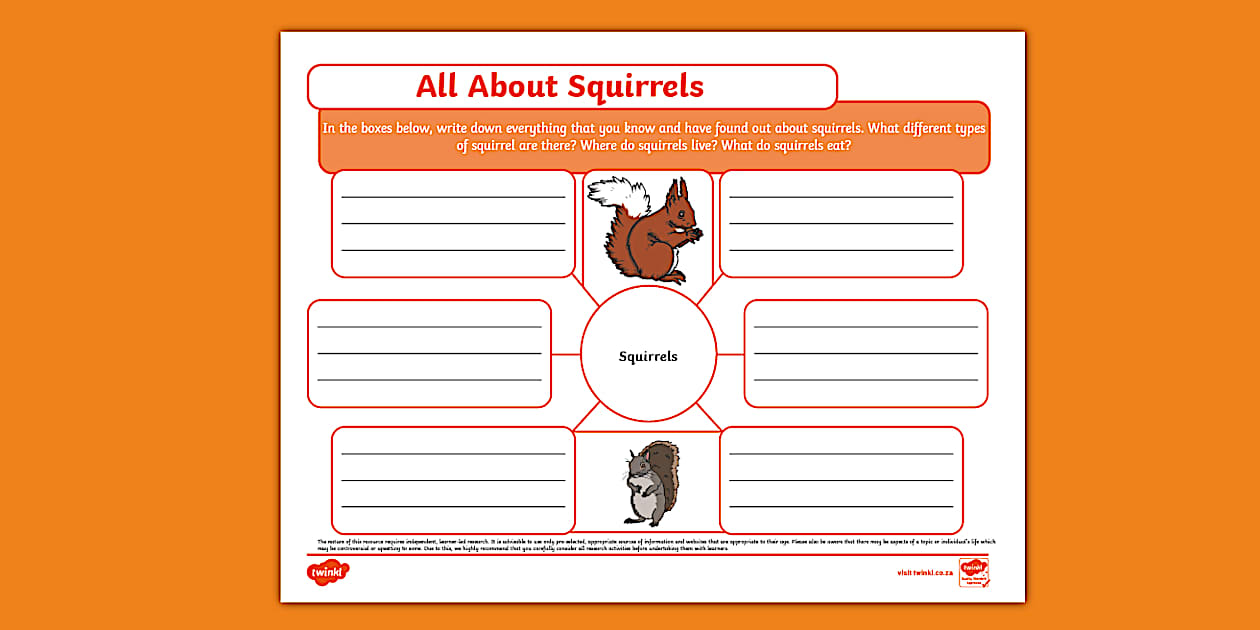 All About Squirrels Mind Map (l'enseignant a fait) - Twinkl