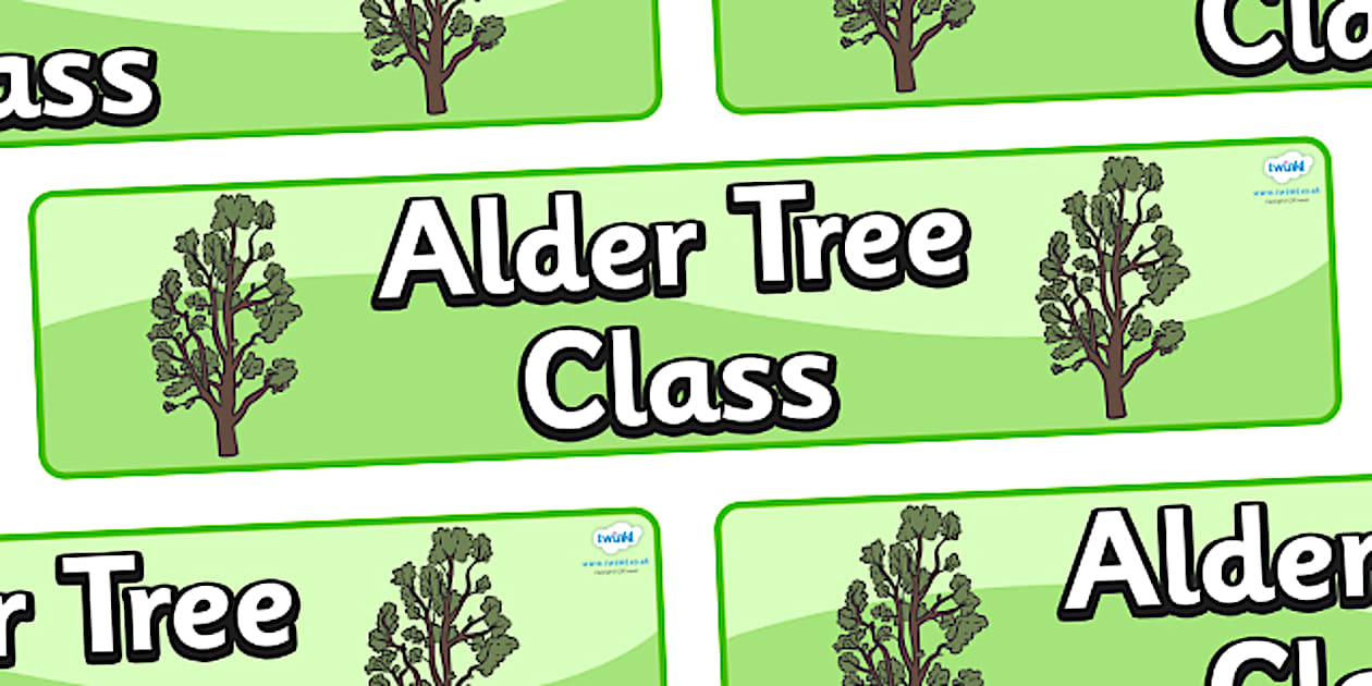 Alder Tree Themed Classroom Display Banner (teacher made)