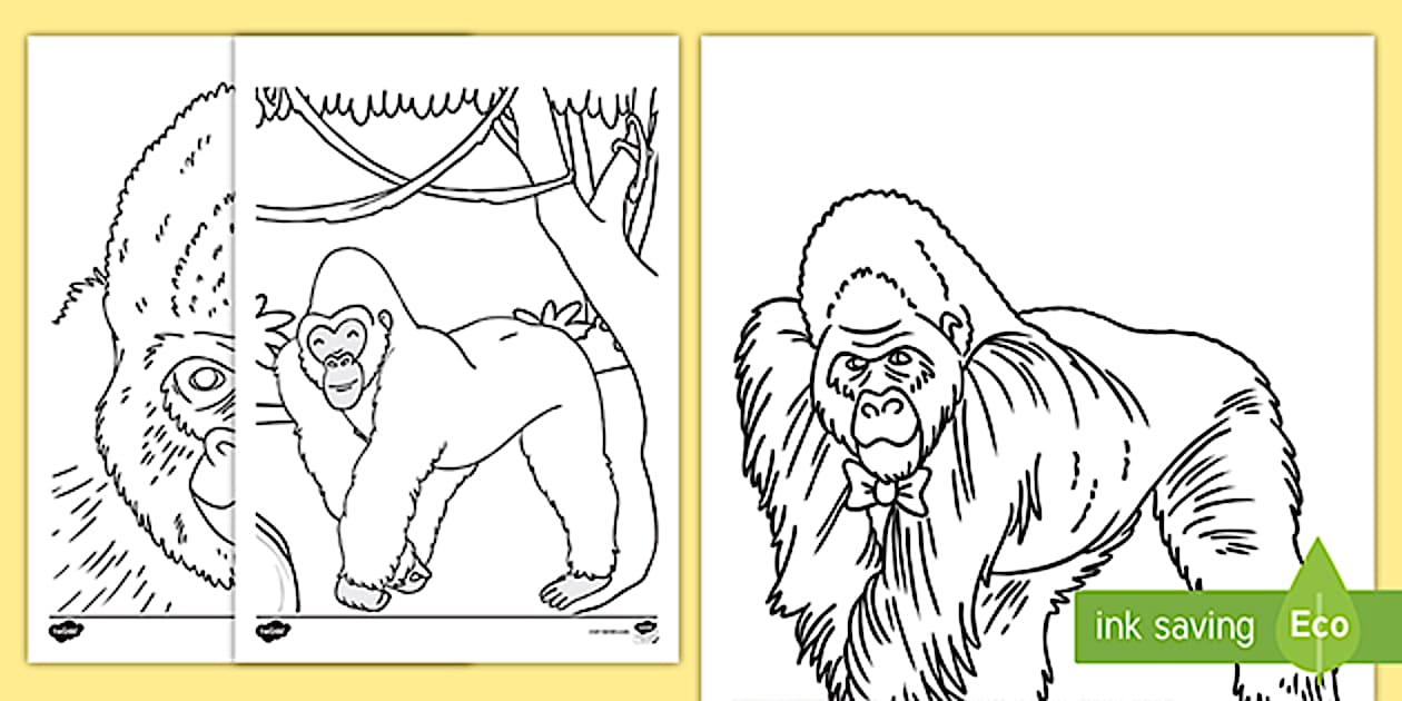 Gorilla Colouring In Pictures - Primary Resource - Twinkl