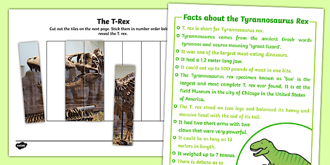 Black and White T. Rex Number Sequencing Puzzle - Twinkl
