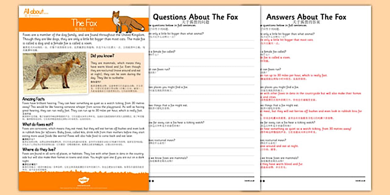 Fox Reading Comprehension Mandarin Chinese Translation