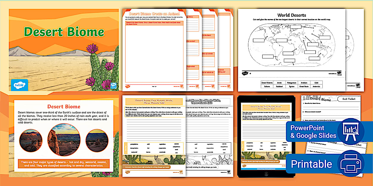 Desert Biome Lesson Pack (teacher made) - Twinkl
