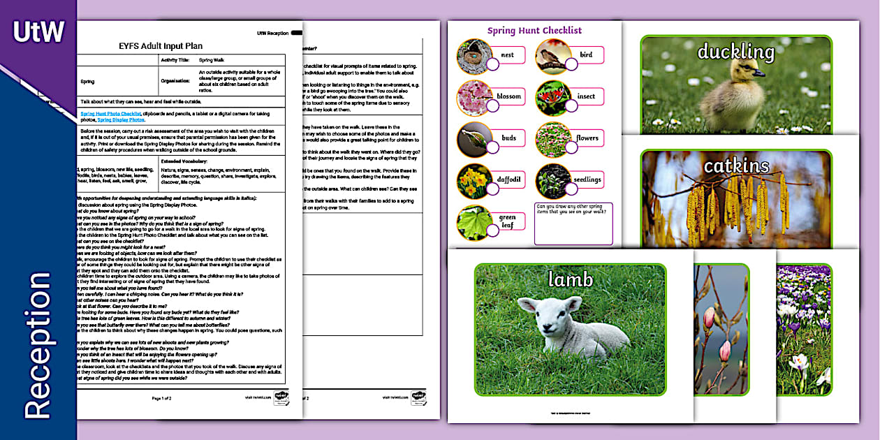 EYFS Spring Walk Adult Input Plan and Resource Pack - Twinkl