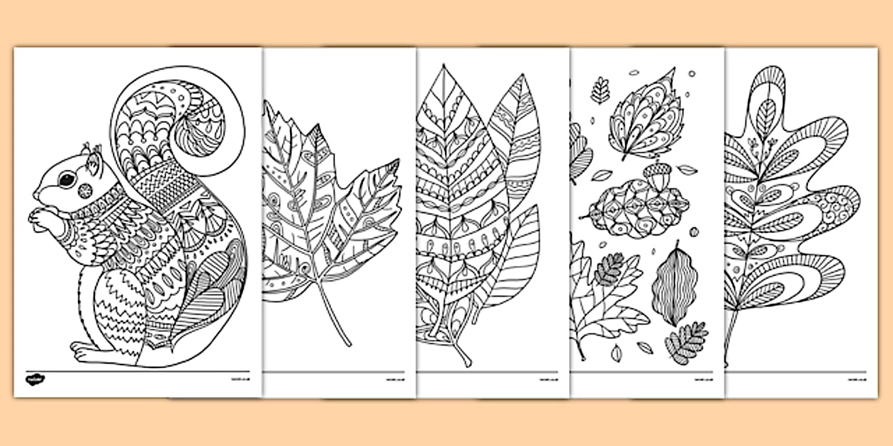 Adult Autumn-Themed Colouring (teacher made) - Twinkl