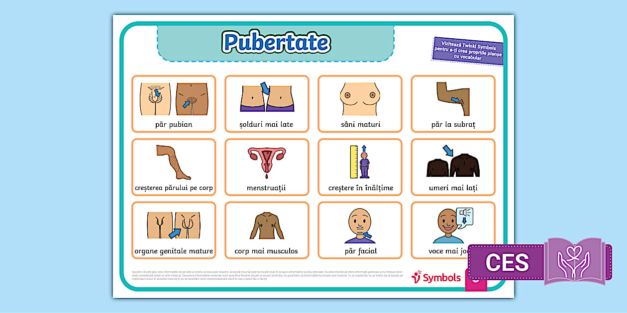 Pubertate – Planșă cu vocabular Twinkl Symbols