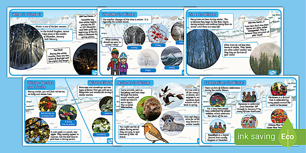 Kindergarten All About Winter Fact Files | Twinkl - Twinkl