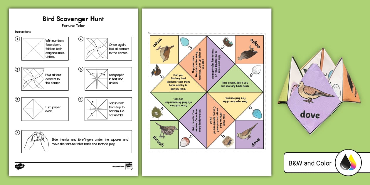 Bird Scavenger Hunt Fortune Teller (teacher made) - Twinkl