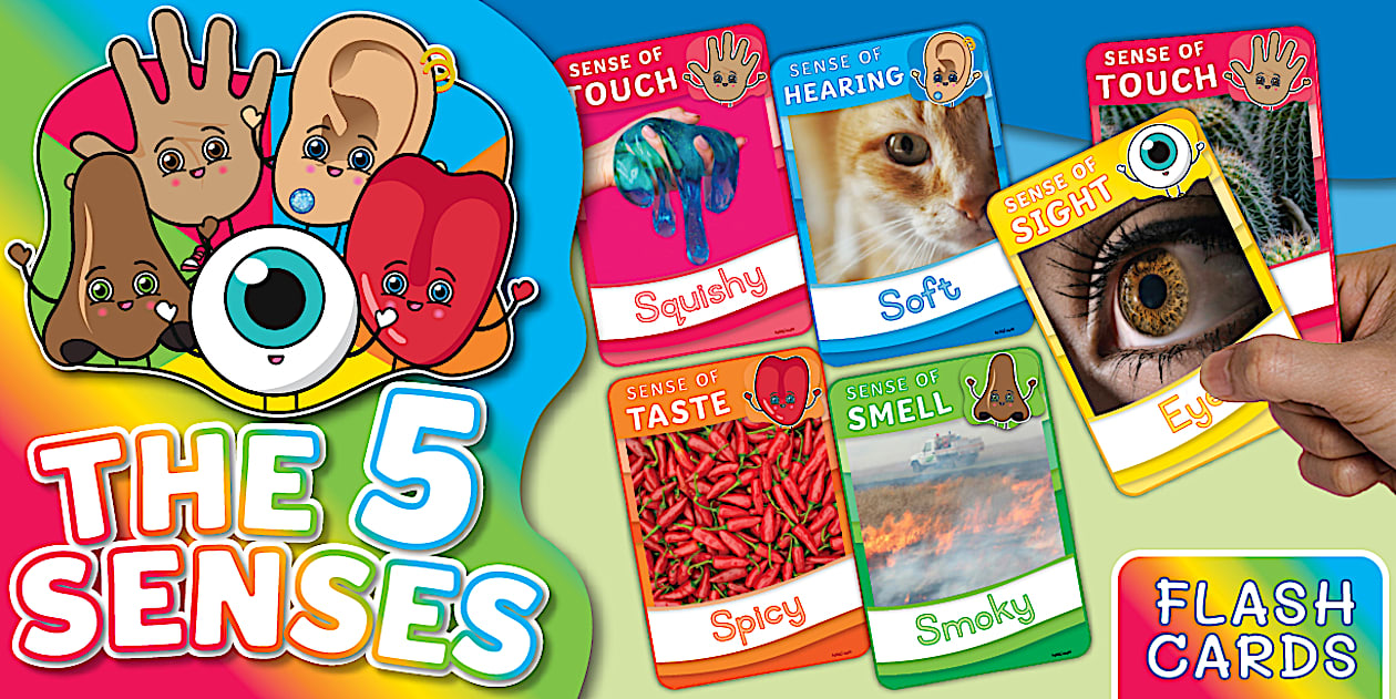 Grade R LS Term 2 - Five Senses - Flashcards (CAPS Aligned)