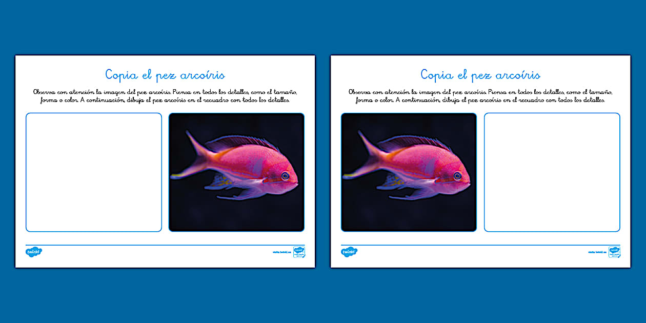 Ficha de actividad: Copia el pez arcoíris (teacher made)