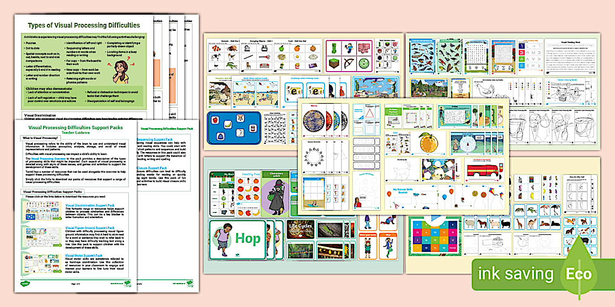 Visual Processing Difficulties Support Pack - Twinkl